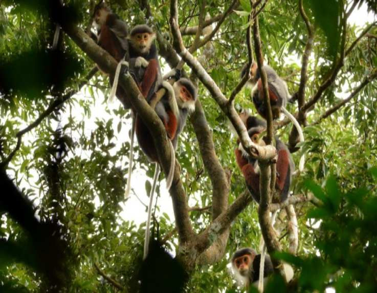 Marble Mountain & Monkey Mountain Sunset Tour | Vietnam Escape Tours
